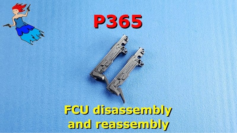 How to do a Sig P365 slide disassembly and reassembly – P365 vs P365 XL ...