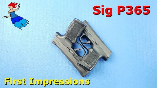 Polymer80 PF940SC first shots and range testing - The Rogue Banshee
