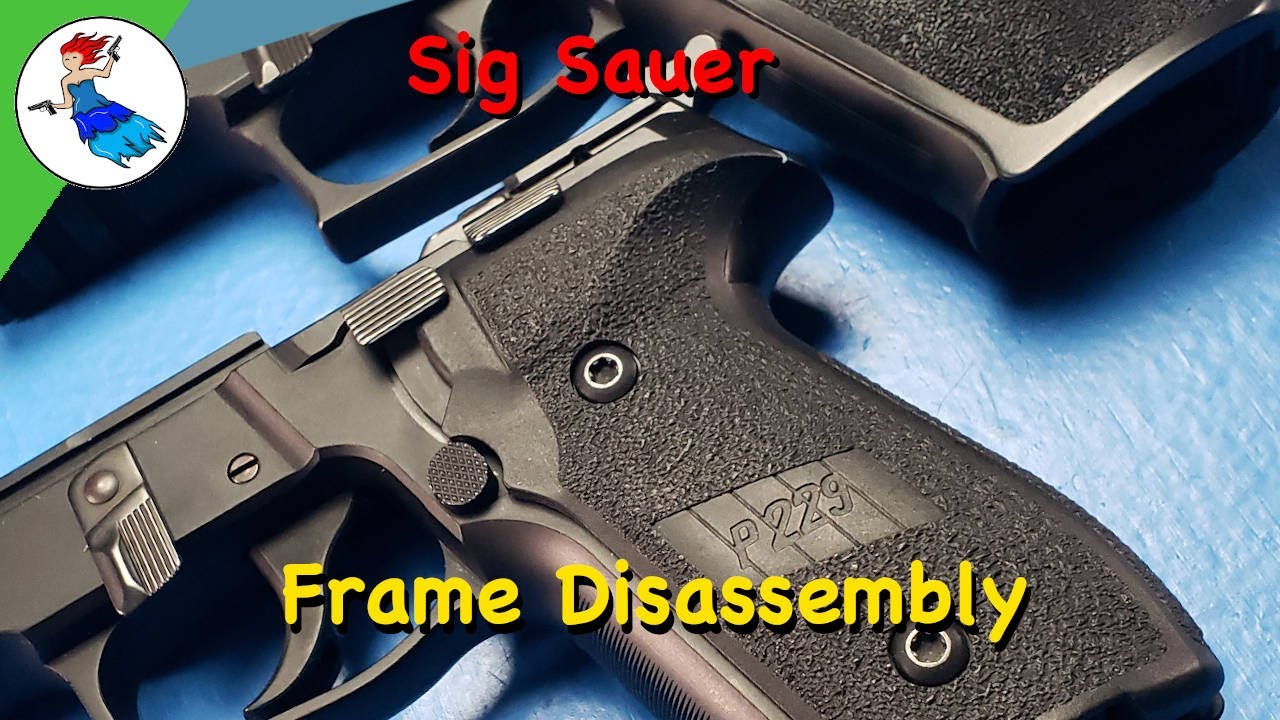 How to Disassemble a Sig Sauer P220, P225, P228, P229, and M11A1 Frame ...